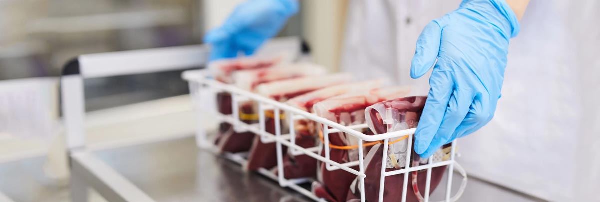 Pathology Lab and blood Bank in jalandhar